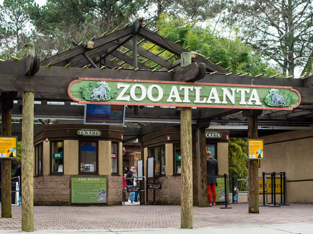 19 Best Things to Do with Kids in Atlanta