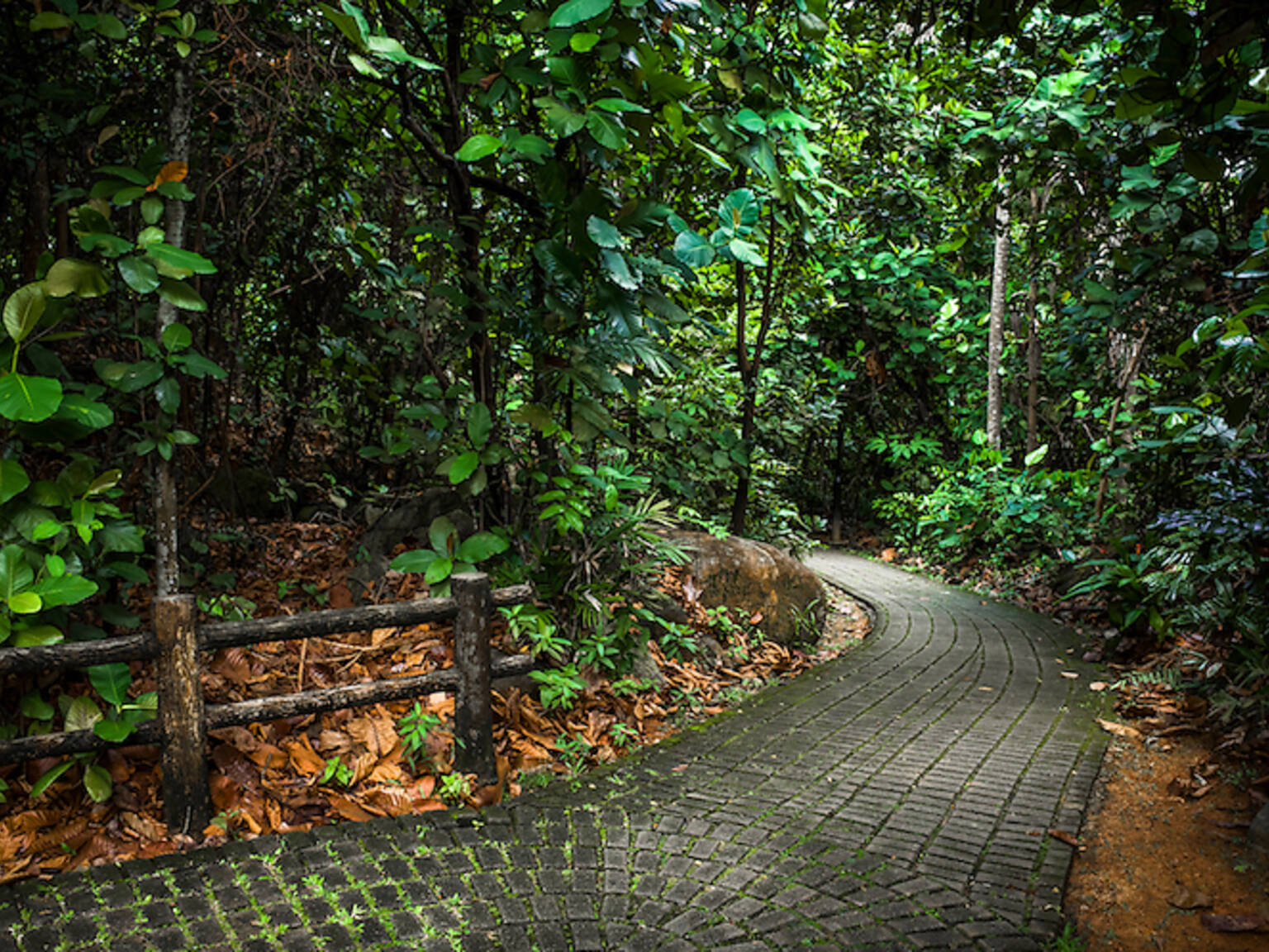 The Ultimate Guide To The Rail Corridor In Singapore
