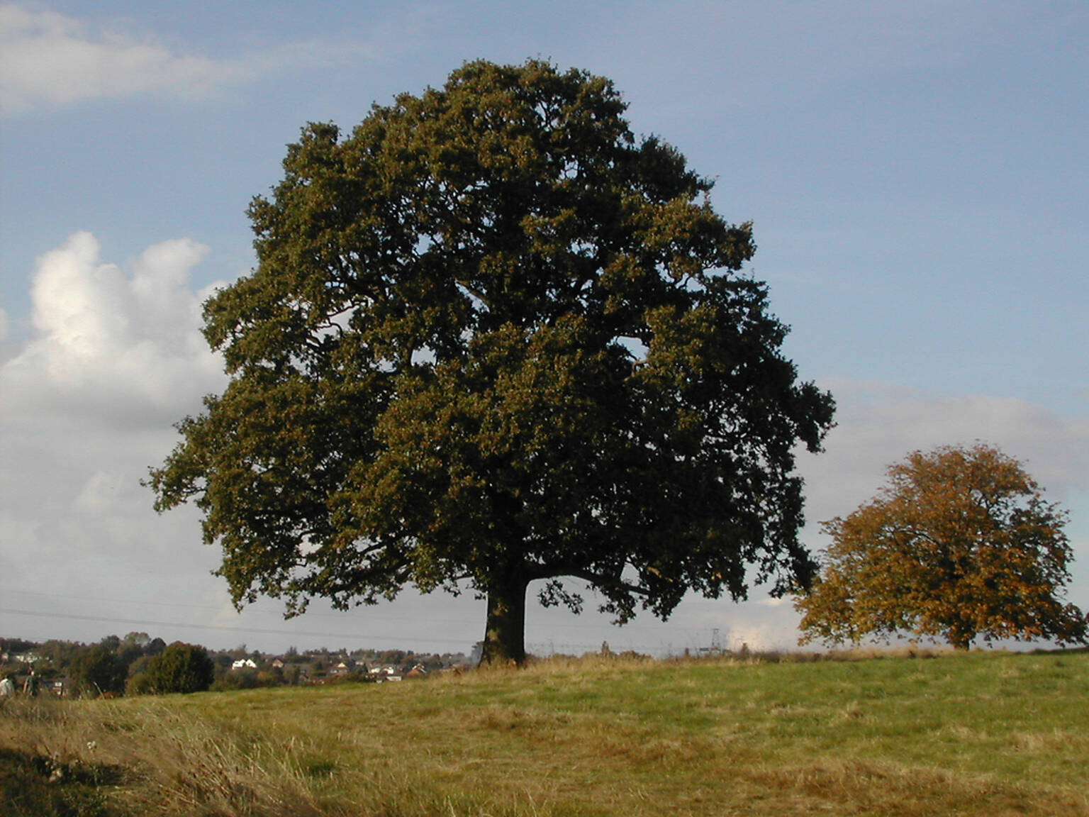 Things To Do in Surrey | 9 Must-See Attractions