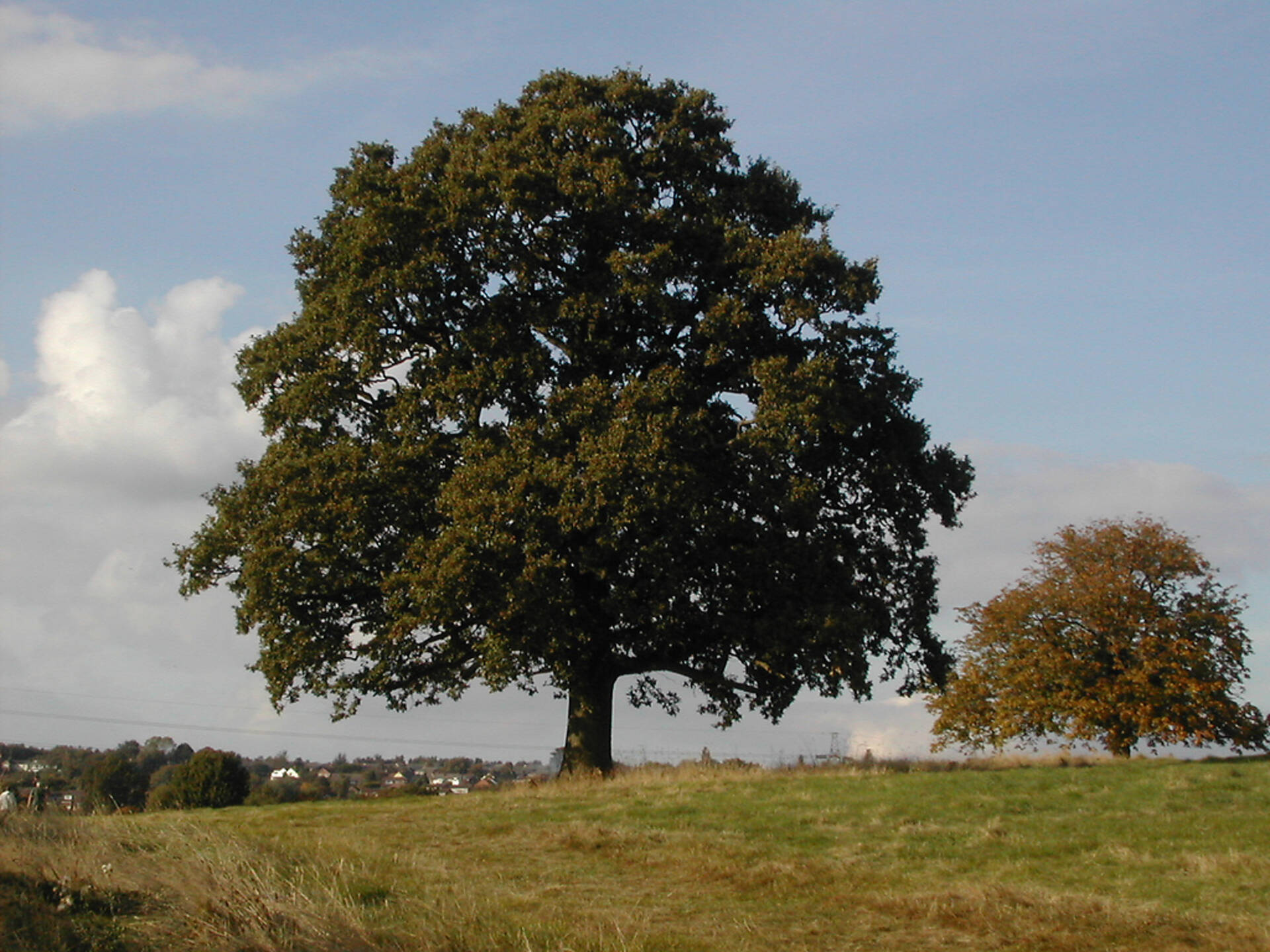 Things To Do in Surrey | 9 Must-See Attractions