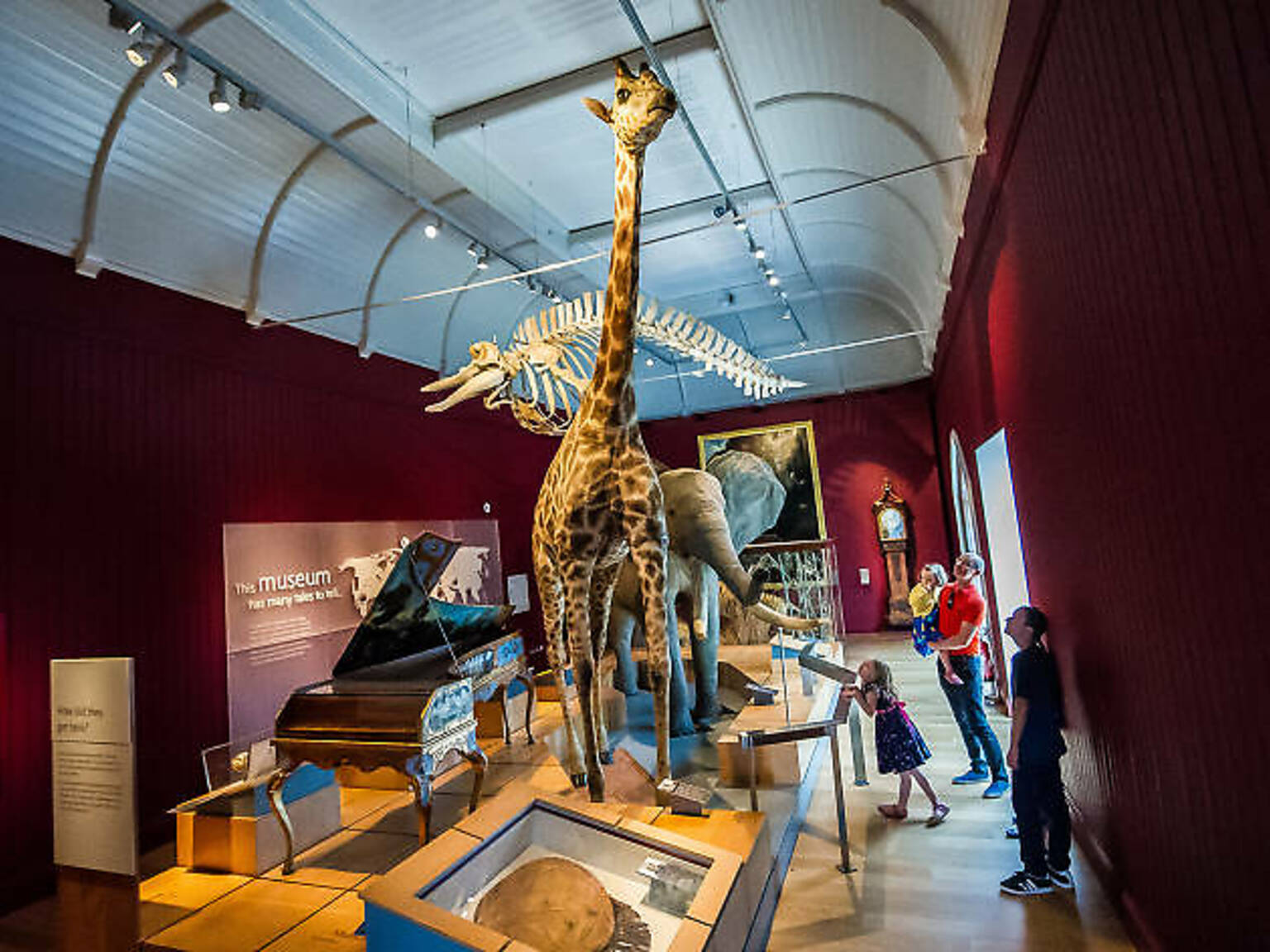 Best Things To Do in Devon | 13 Awesome Attractions