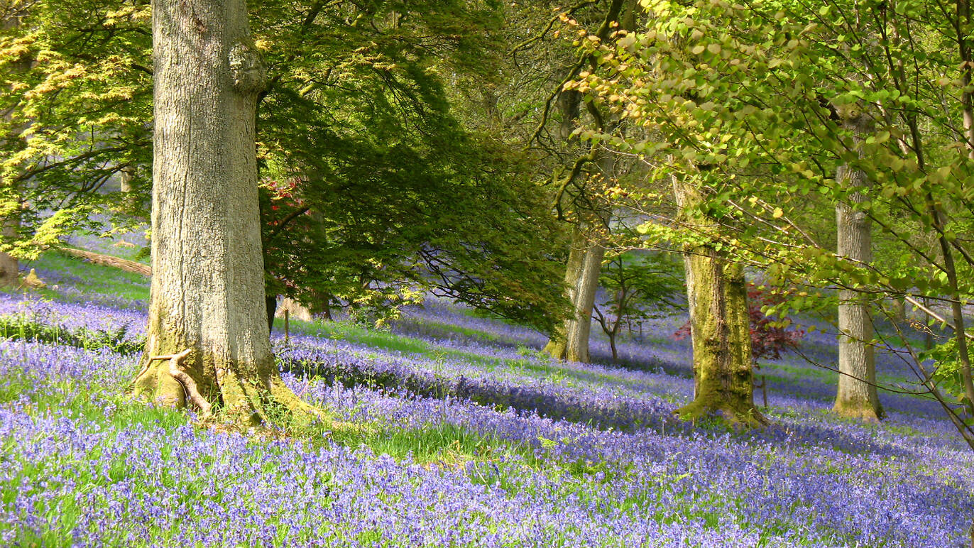 Things To Do in Surrey | 9 Must-See Attractions