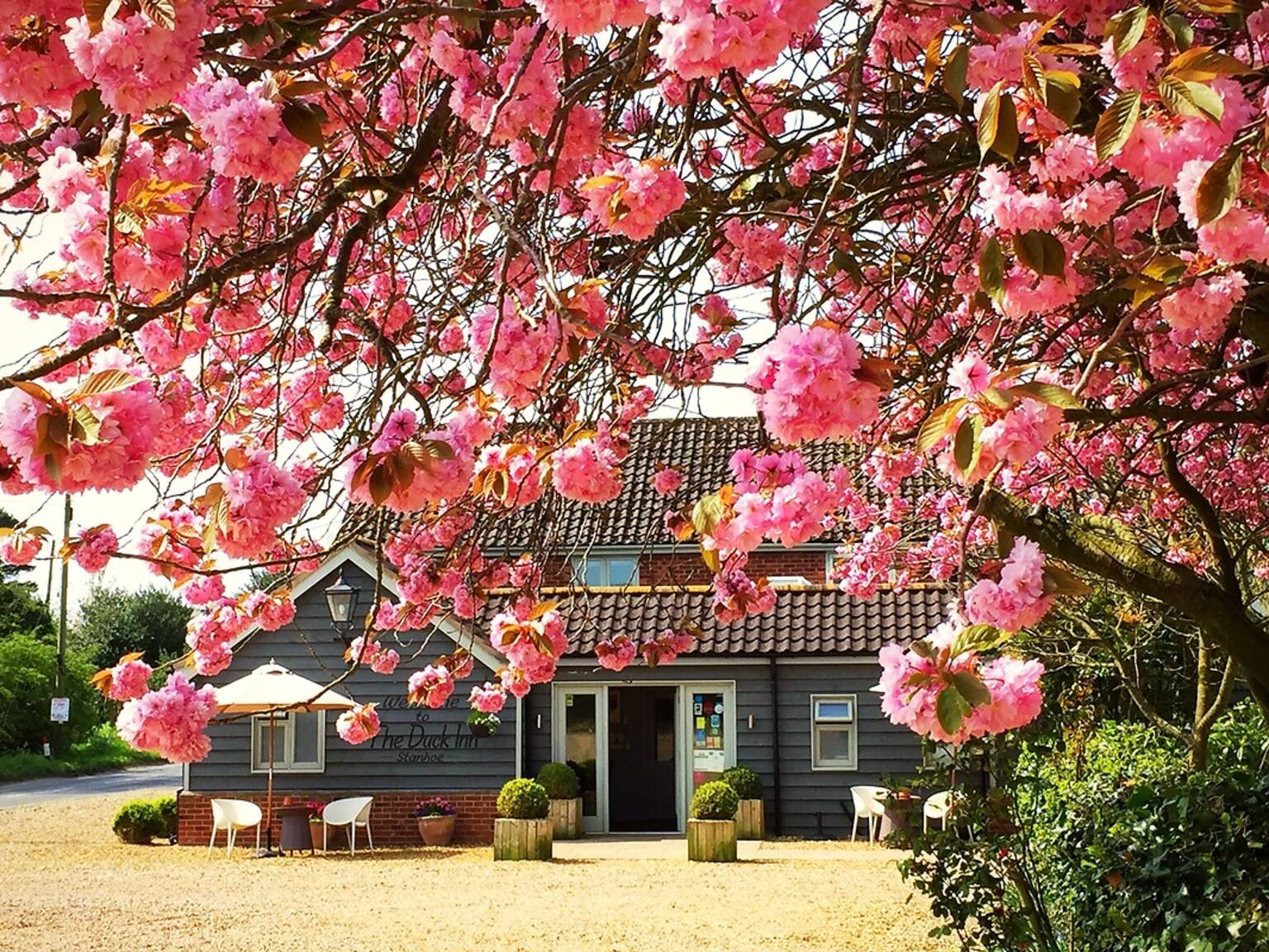 12 Best Things To Do in Norfolk This Summer