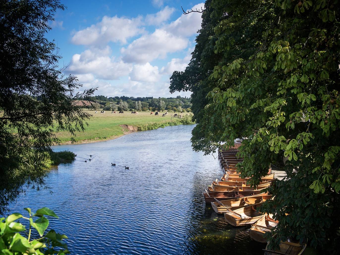 Best Things To Do in Essex | 11 Must-See Attractions