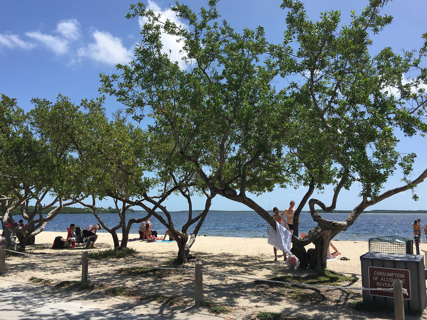 7 Best Things to Do in Key Largo Right Now