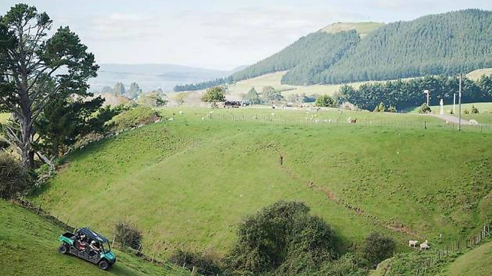 Things to Do in Rotorua | 12 Top Attractions and Activities