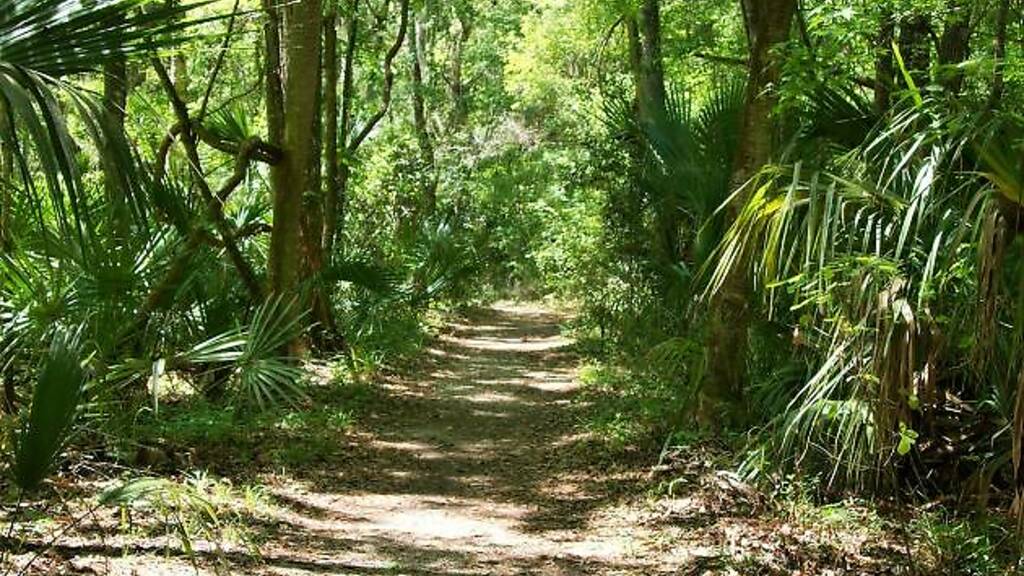 Things to Do in Bermuda | 13 Essential Attractions and Activities