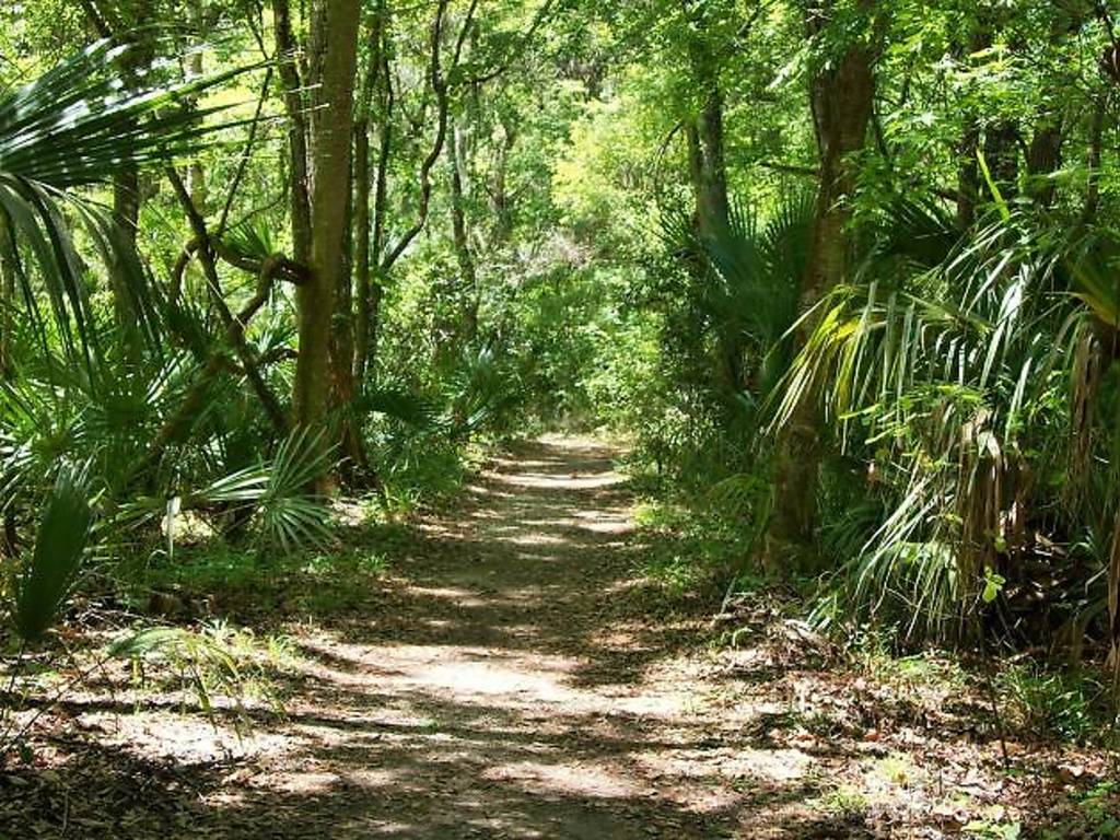 Things to Do in Bermuda | 13 Essential Attractions and Activities