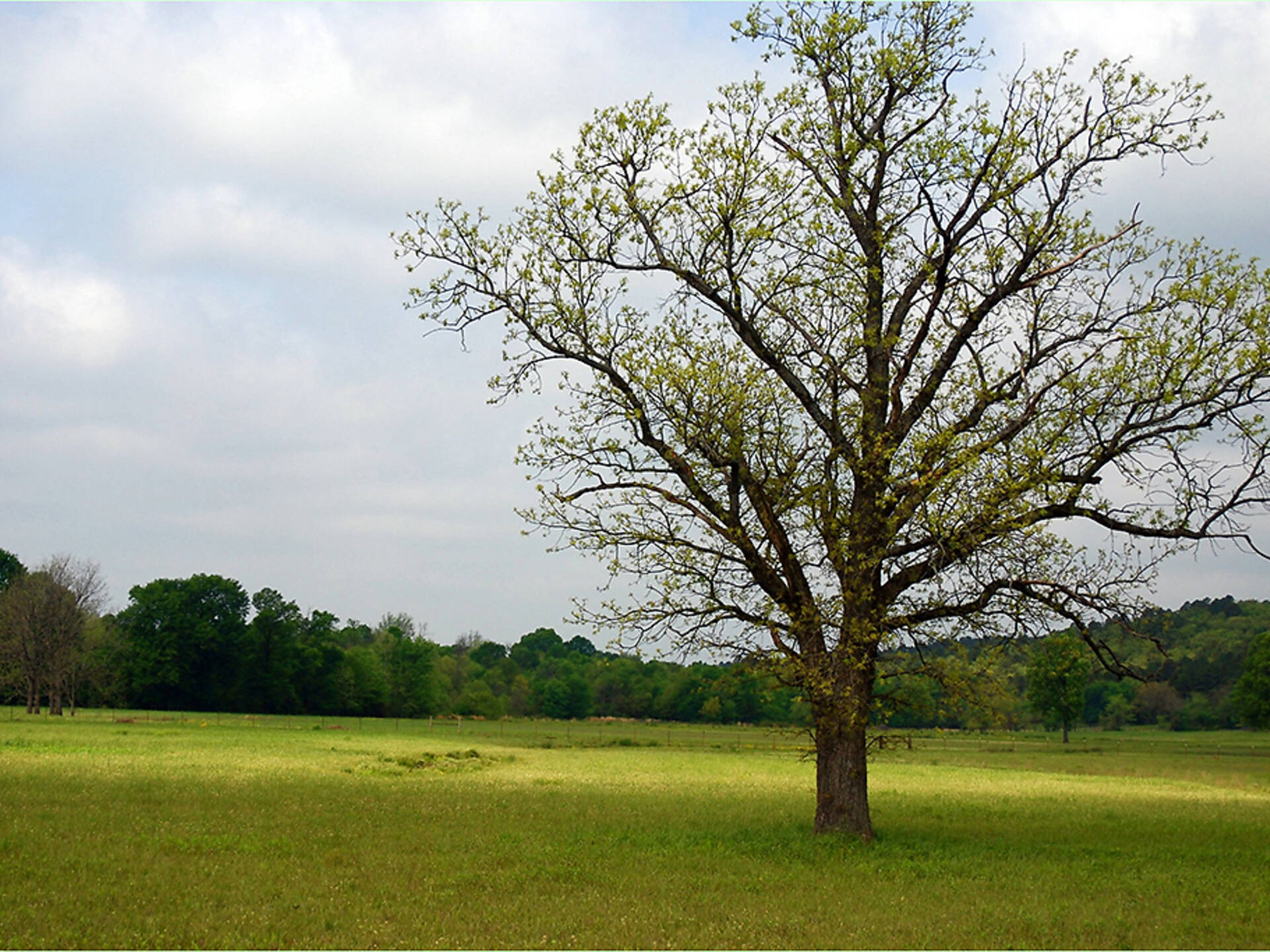 10 Best Things to do in Tulsa Right Now