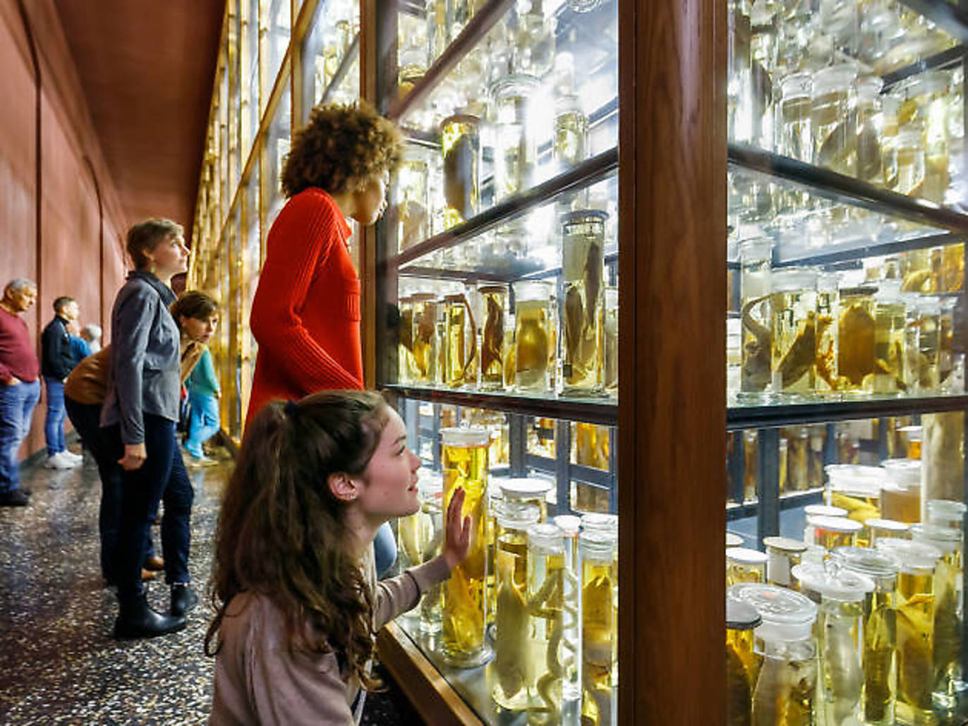 10 Best Museums In Berlin Chosen By Locals 10-best-museums-in-berlin-chosen-by-locals