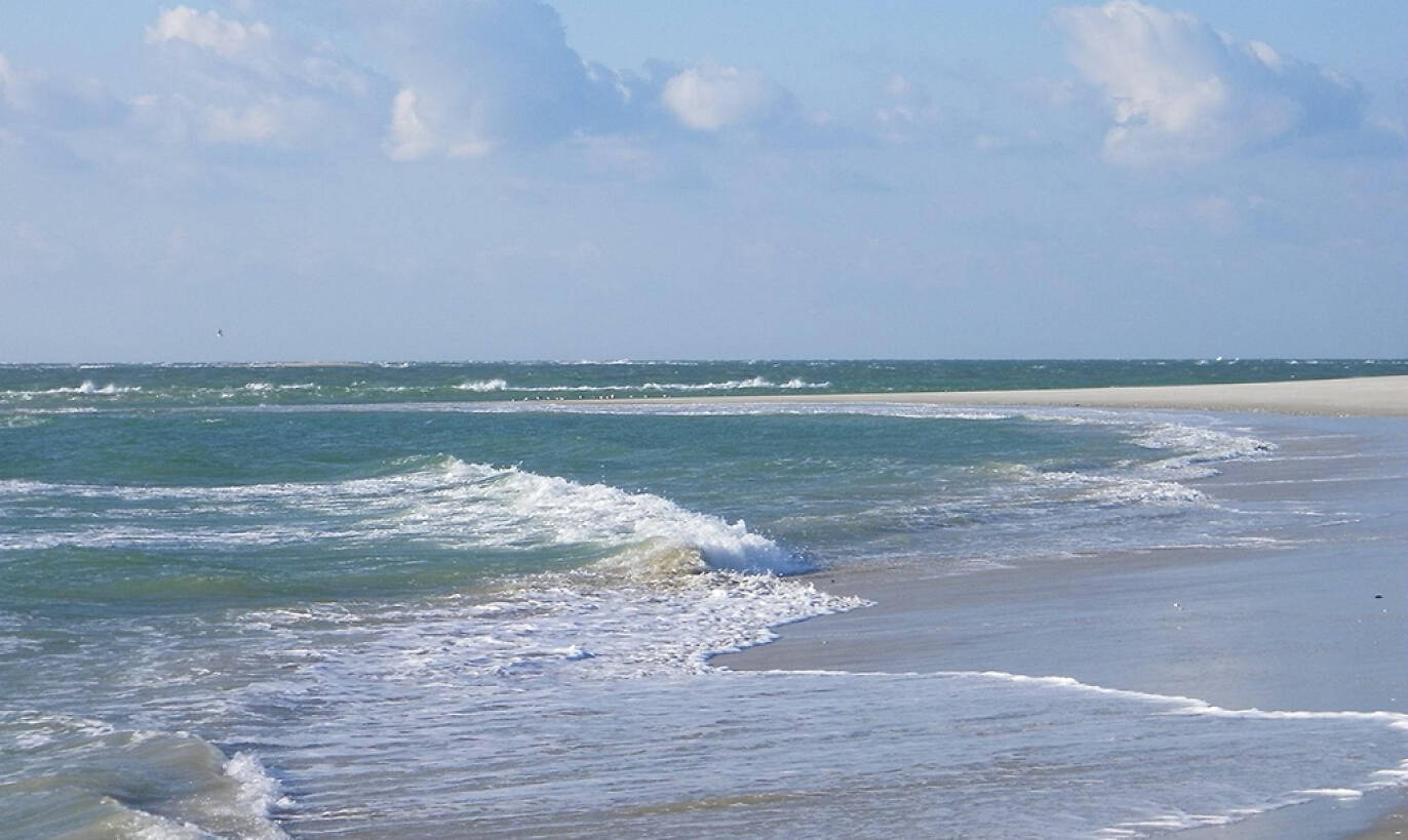 15 Best Beaches in North Carolina for Undisturbed Beach Days