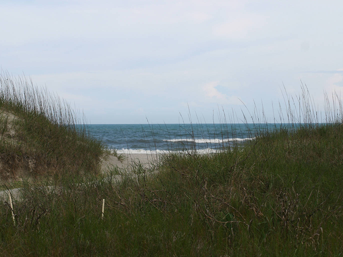 15 Best Beaches in North Carolina for Undisturbed Beach Days