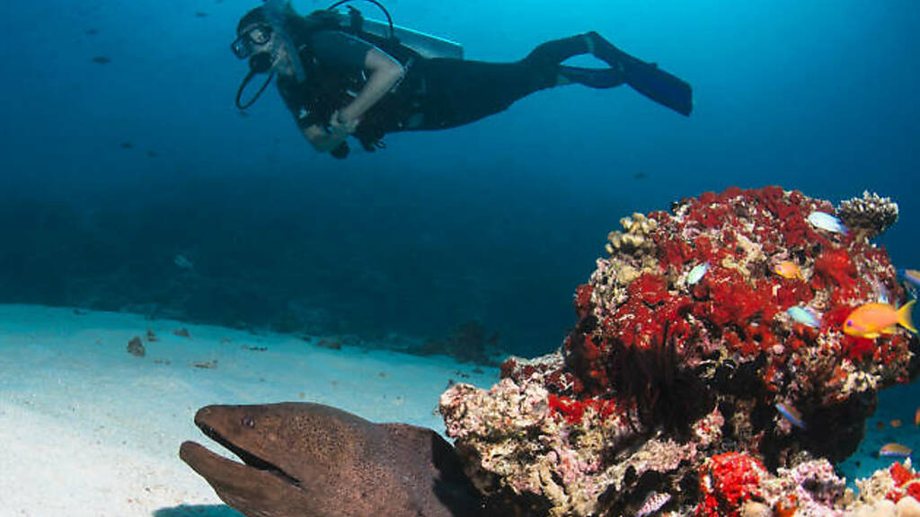 Things to Do in the Maldives | 12 Attractions and Activities