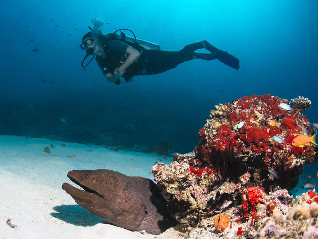 Things to Do in the Maldives | 12 Attractions and Activities