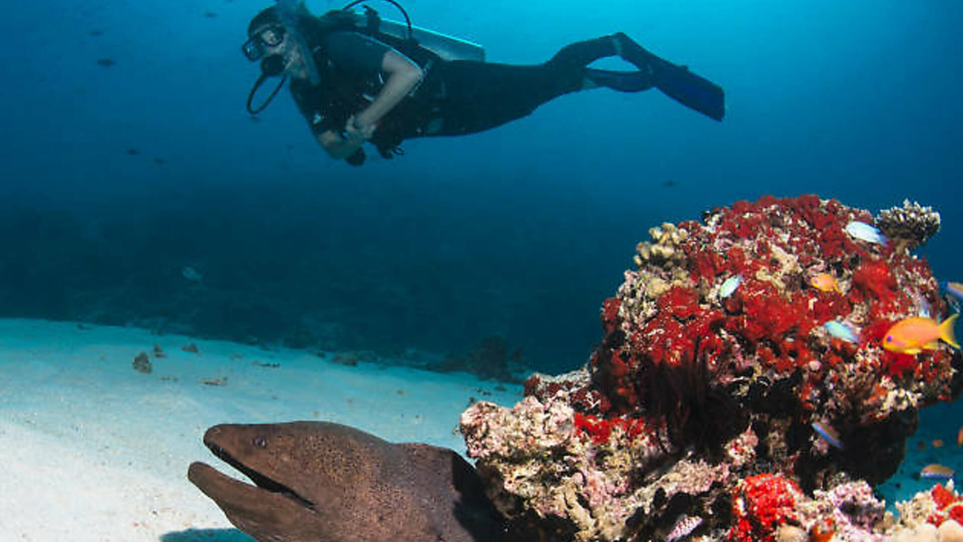 Things to Do in the Maldives | 12 Attractions and Activities