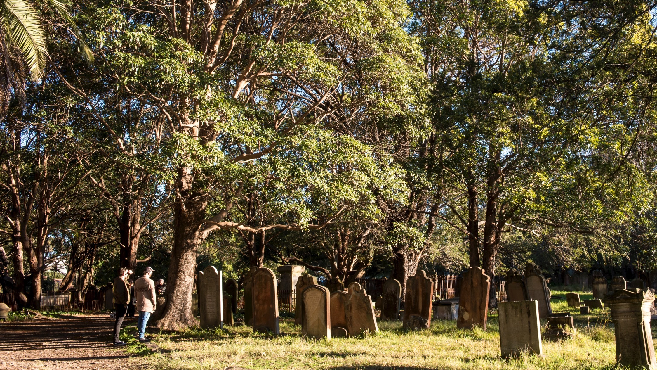 Sydney landmarks you didn't know used to be cemeteries
