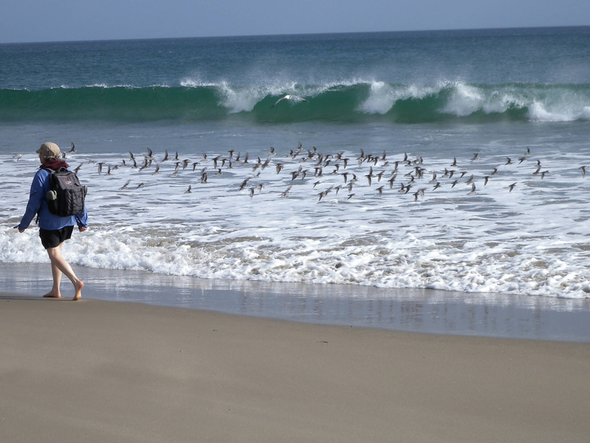 15 Best Beaches in California for Sunbathing, Surfing and Swimming