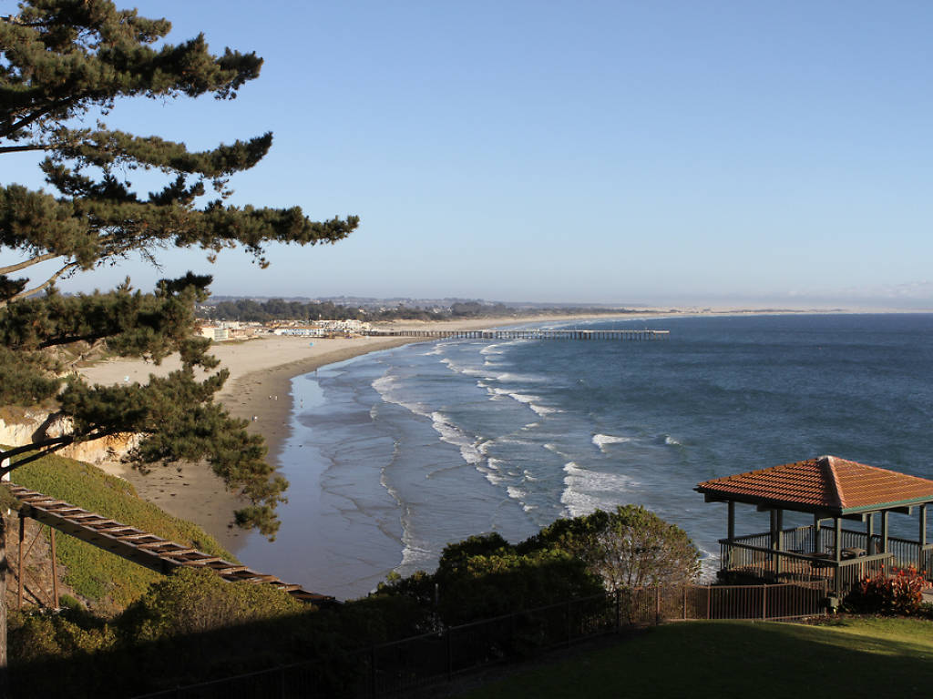 15 Best Beaches in California for Swimming and Surfing