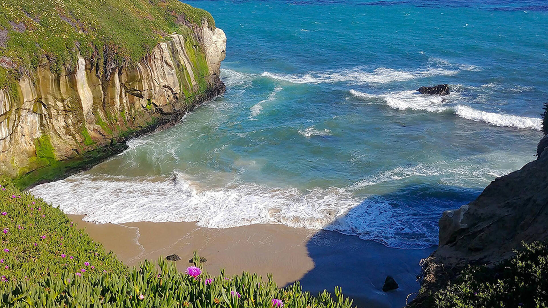 15 Best Beaches in California for Swimming and Surfing