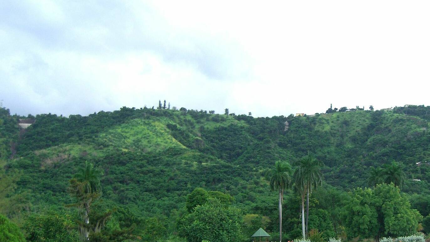 Things to Do in Kingston | 11 Essential Experiences