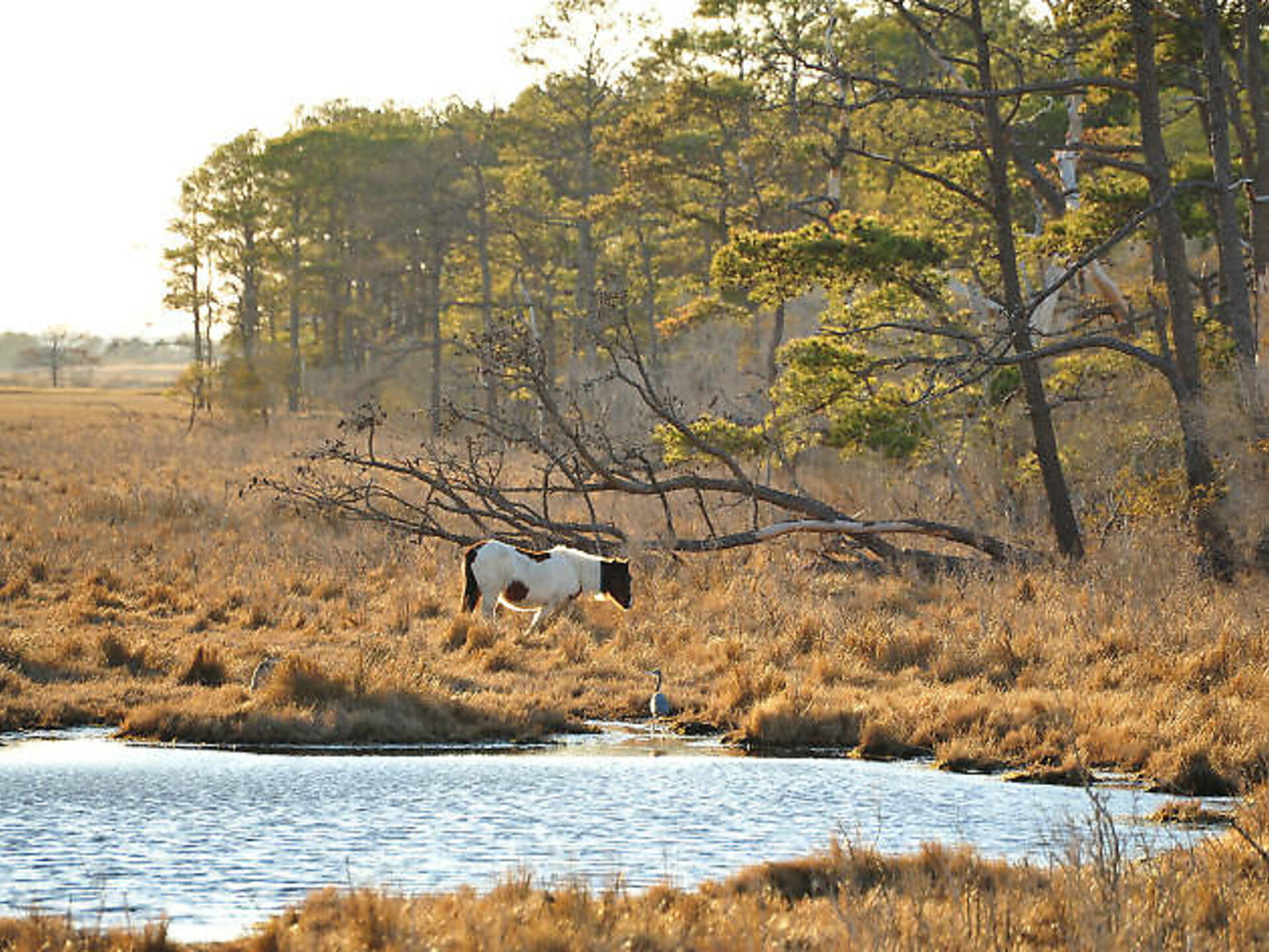 15 Best Things To Do in Virginia | Time Out | Top Attractions and ...