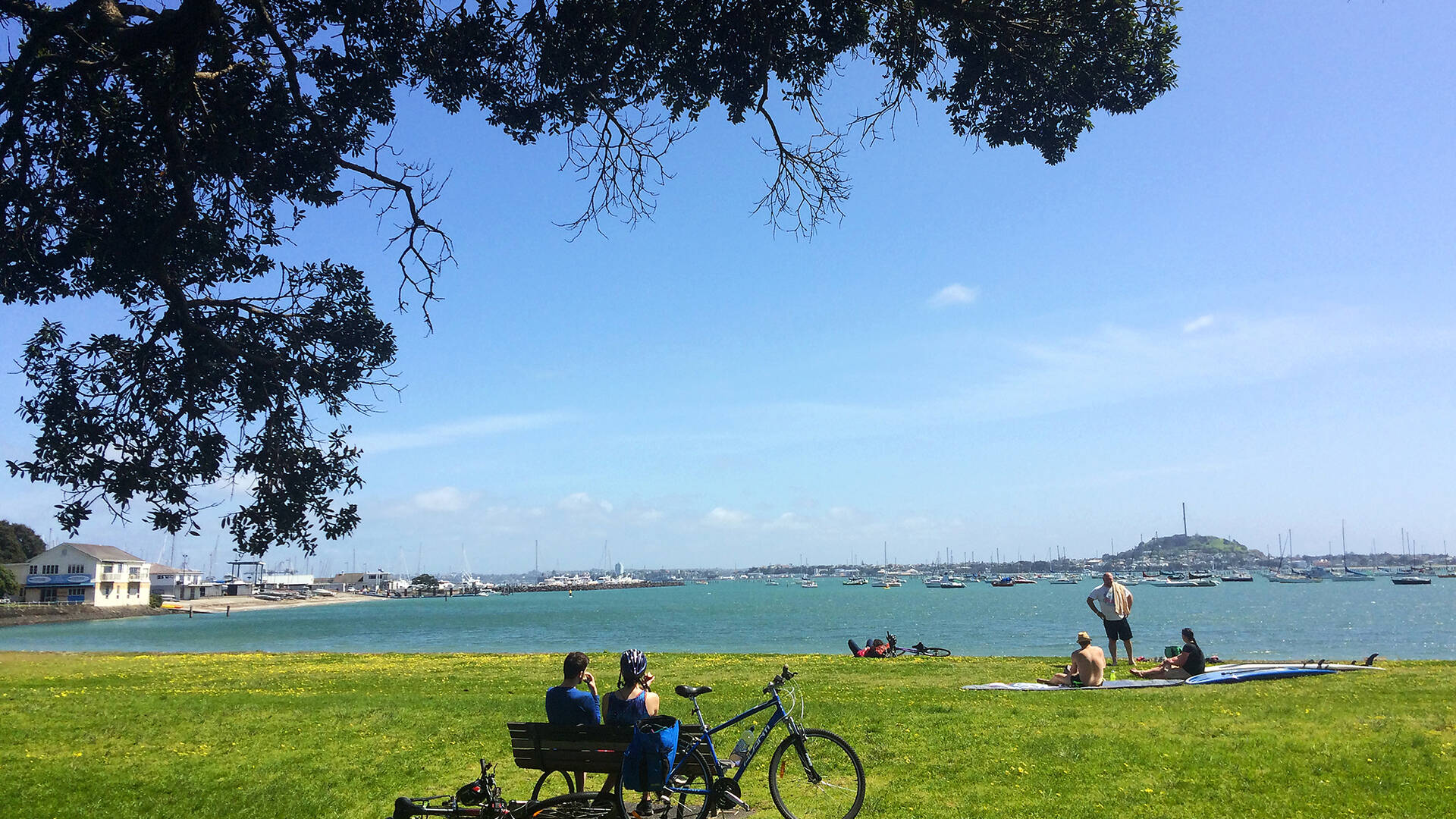 11 Best Things to Do in Auckland