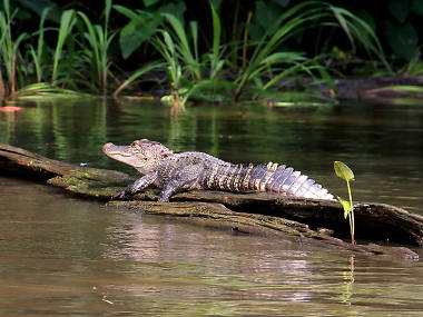 Top Outdoor Adventure in Every State in the USA