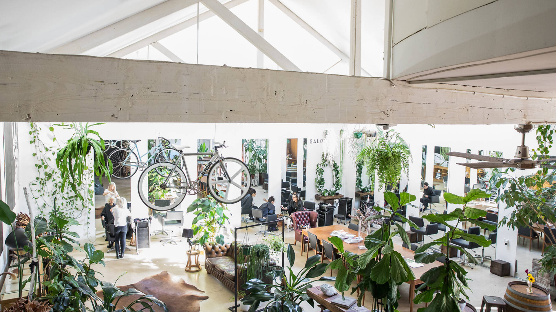 Time Out's complete guide to Newtown