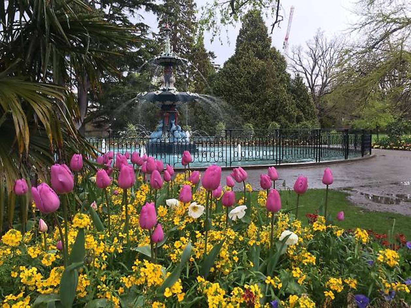 12 Best Things To Do in Christchurch