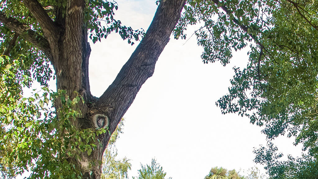 12 Best Things To Do in Christchurch