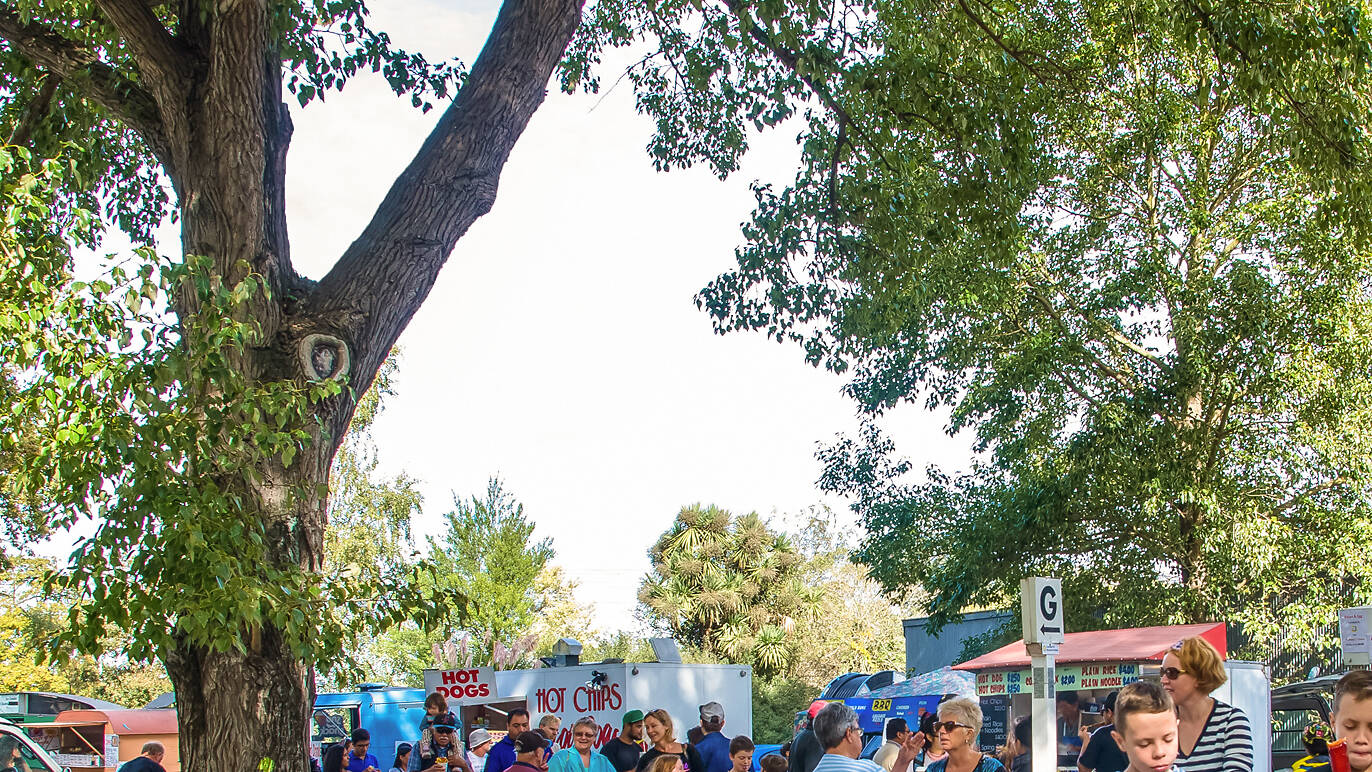 12 Best Things To Do in Christchurch