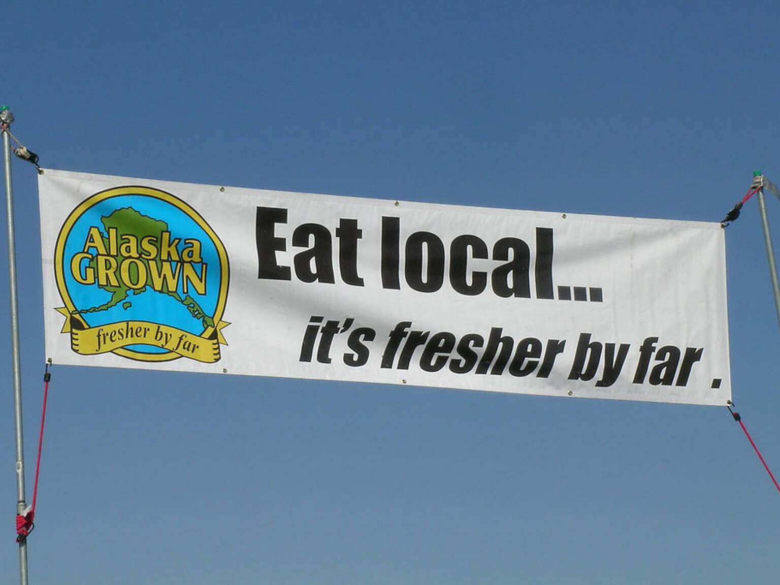 Things to Do in Anchorage | 10 Essential Attractions