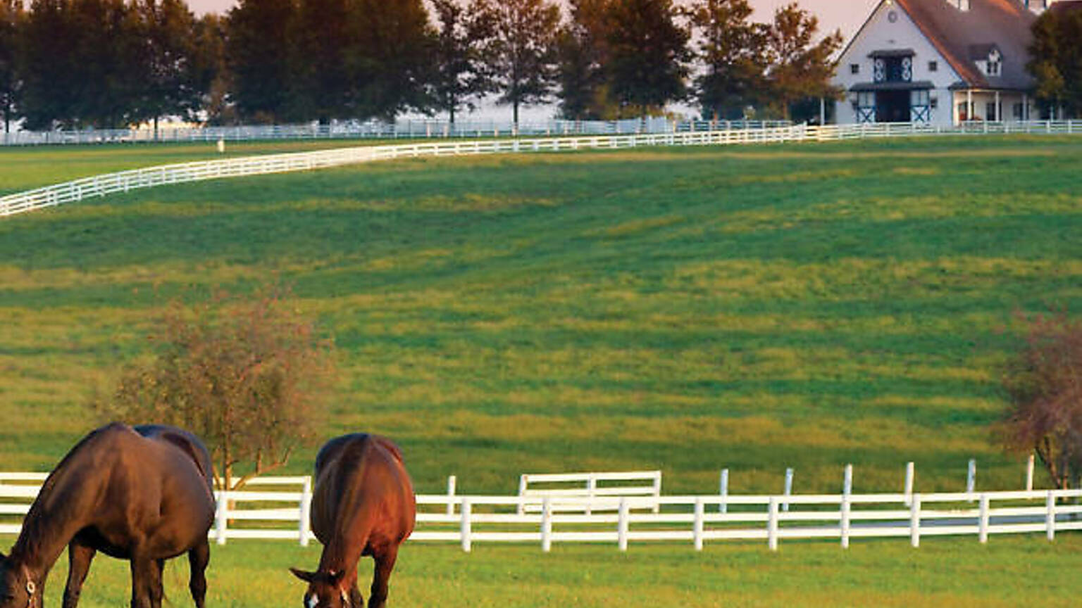 Things to do in Kentucky | 12 Attractions and Sights to See