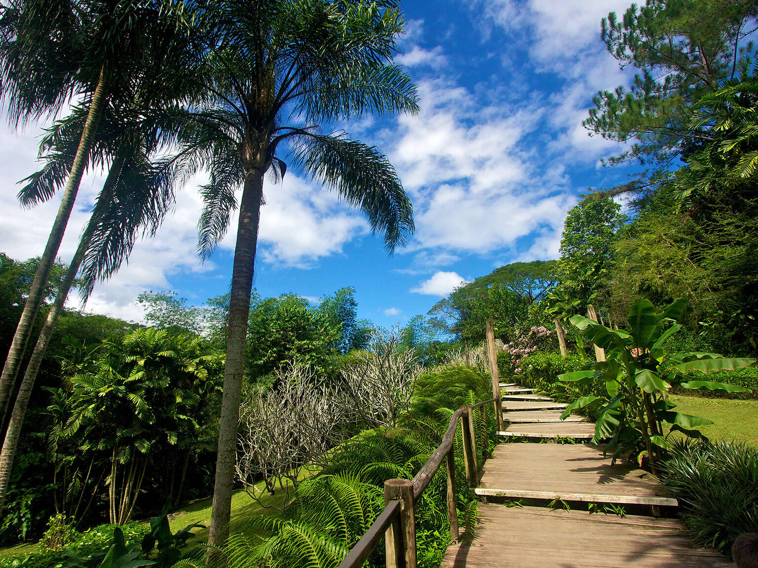 Best Things To Do in Fiji | 11 Essential Attractions