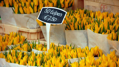 12 Very Best Markets in Amsterdam