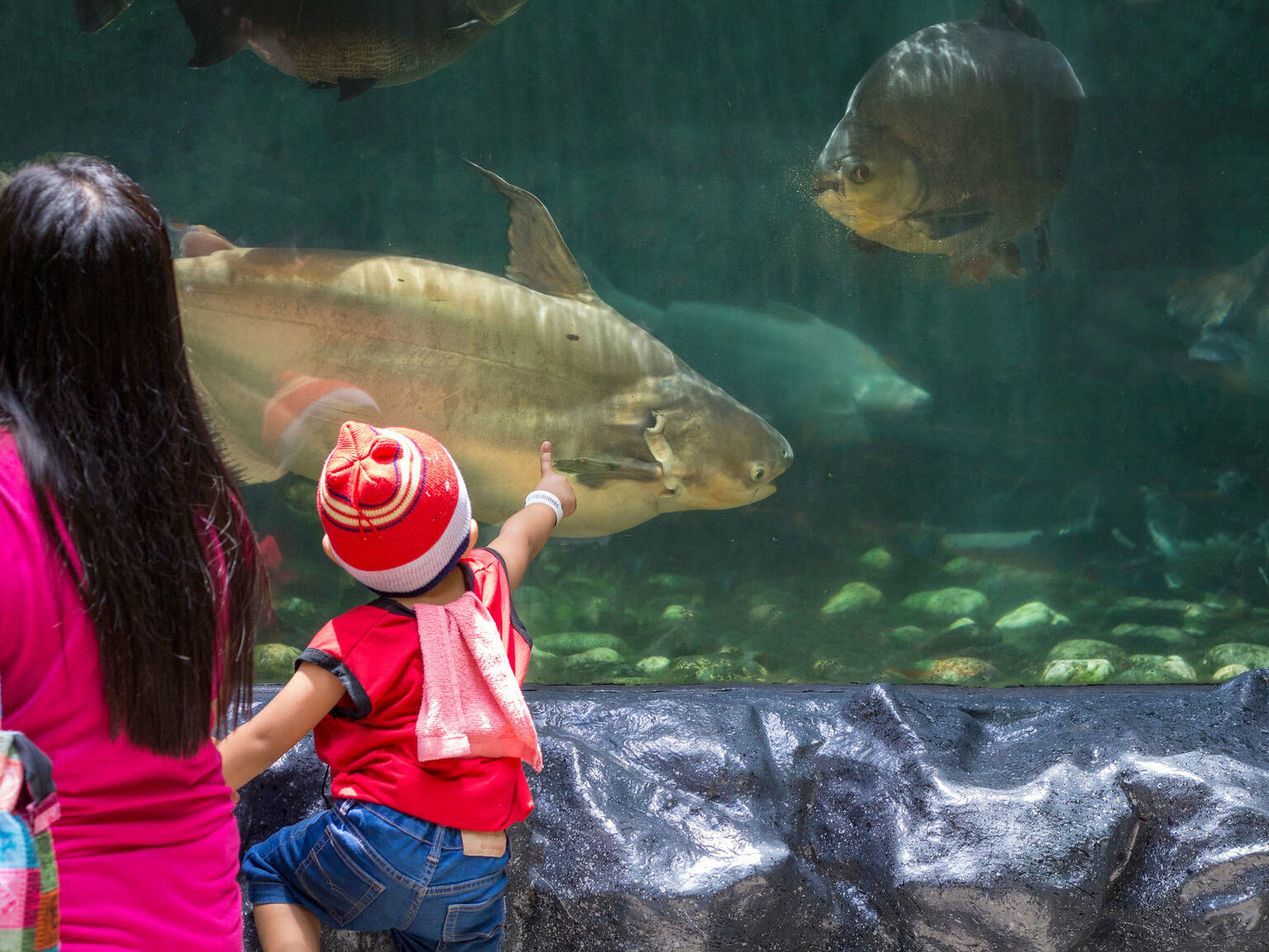 9 Best Things To Do in Manila Right Now