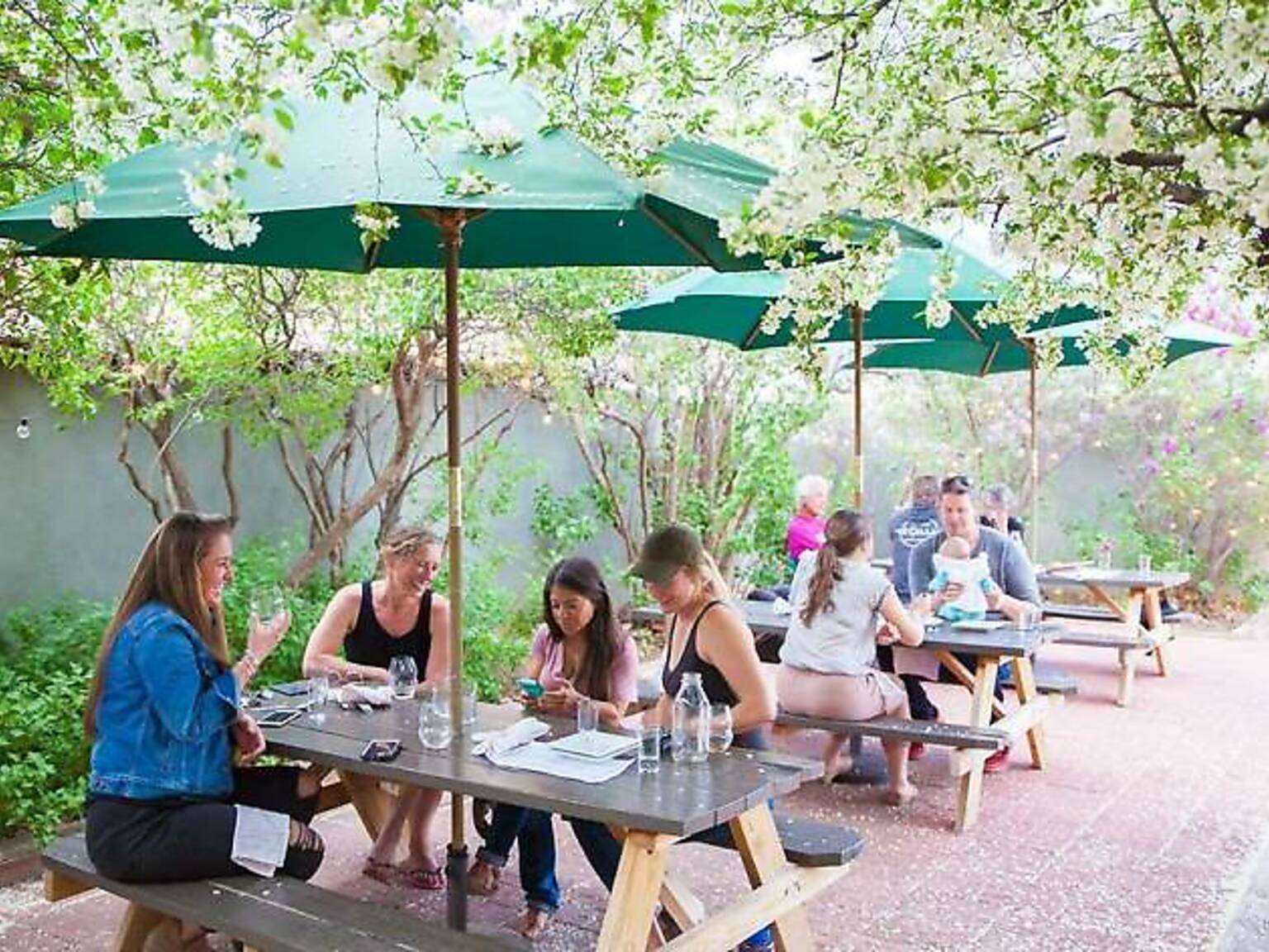 12 Best Restaurants in Taos | Time Out | 12 Eateries to Write Home About