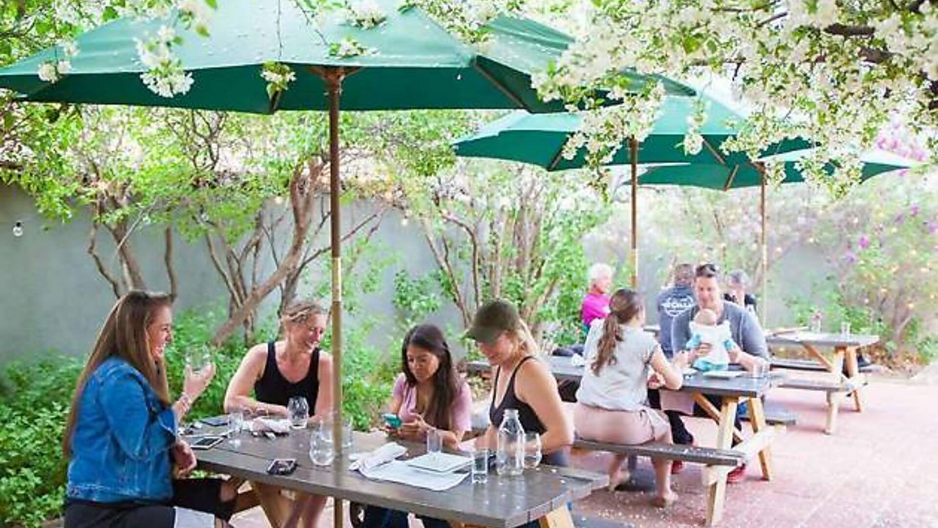 12 Best Restaurants in Taos | Time Out | 12 Eateries to Write Home About