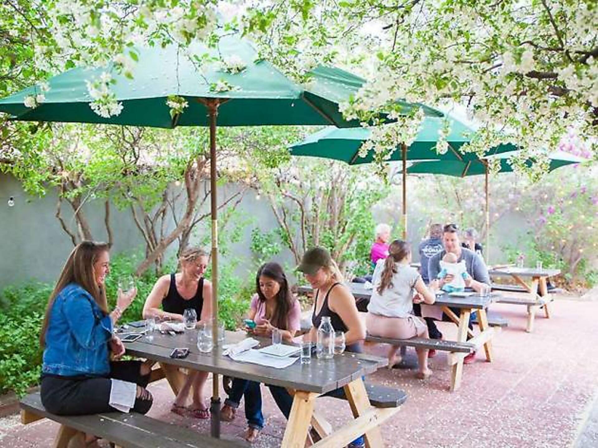 12 Best Restaurants in Taos | Time Out | 12 Eateries to Write Home About