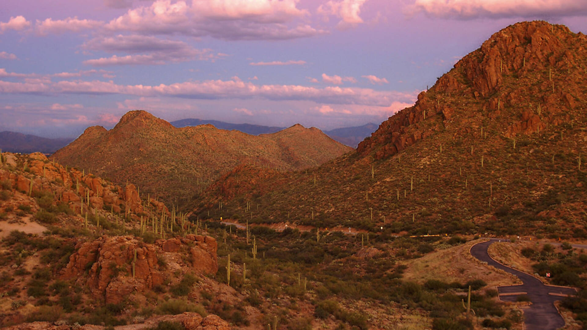 15 Best Things to Do in Tucson in 2023
