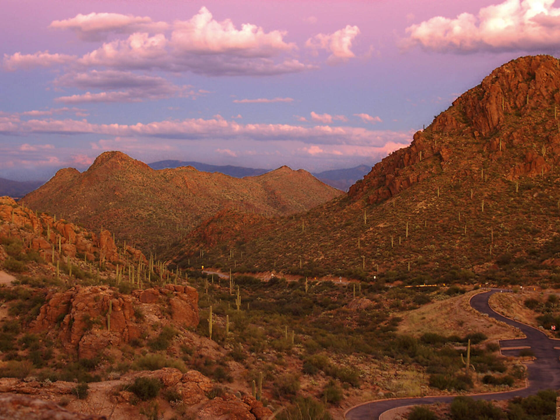 15 Best Things to Do in Tucson in 2023