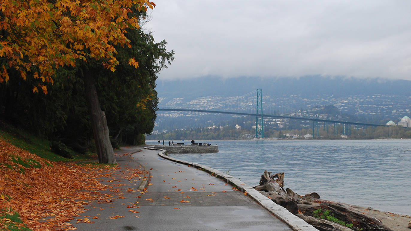 7 Best Parks in Vancouver for Relaxation and Recreation