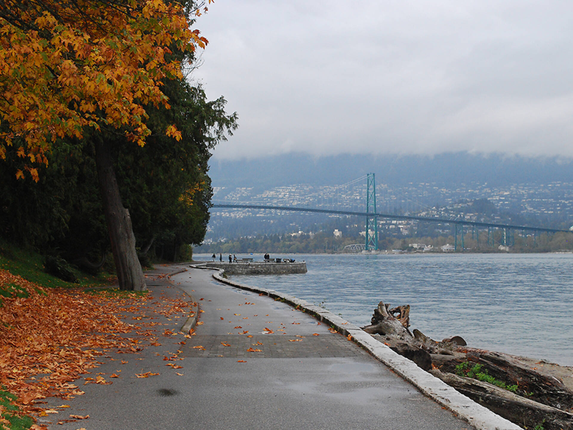 7 Best Parks in Vancouver for Relaxation and Recreation