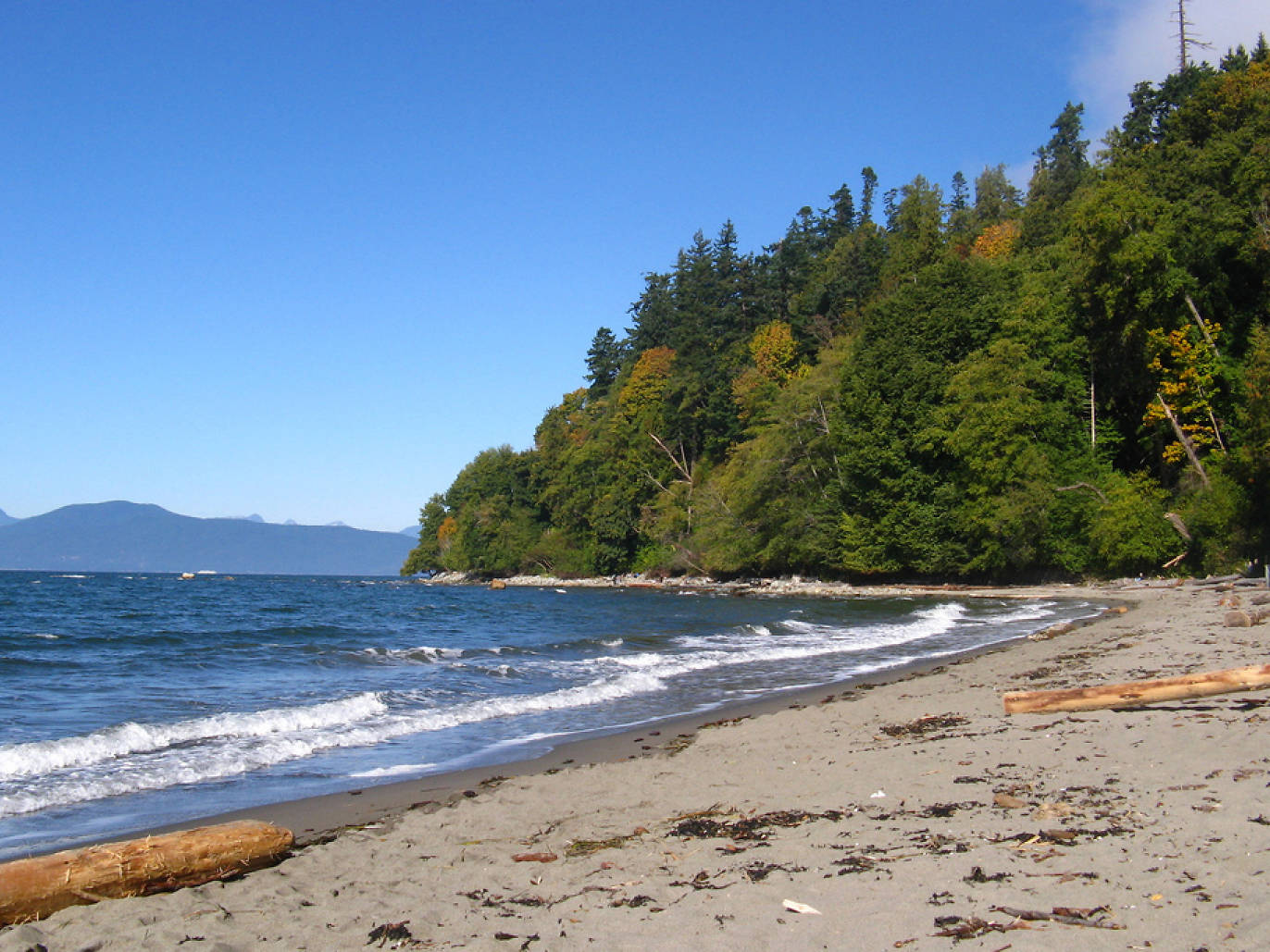 12 Best Beaches in Vancouver for Sunny Serenity