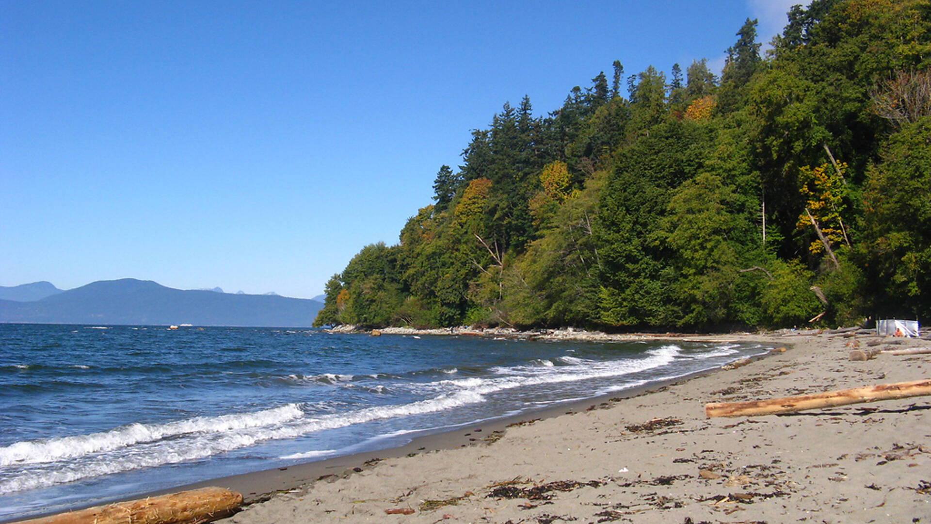 12 Best Beaches in Vancouver for Sunny Serenity