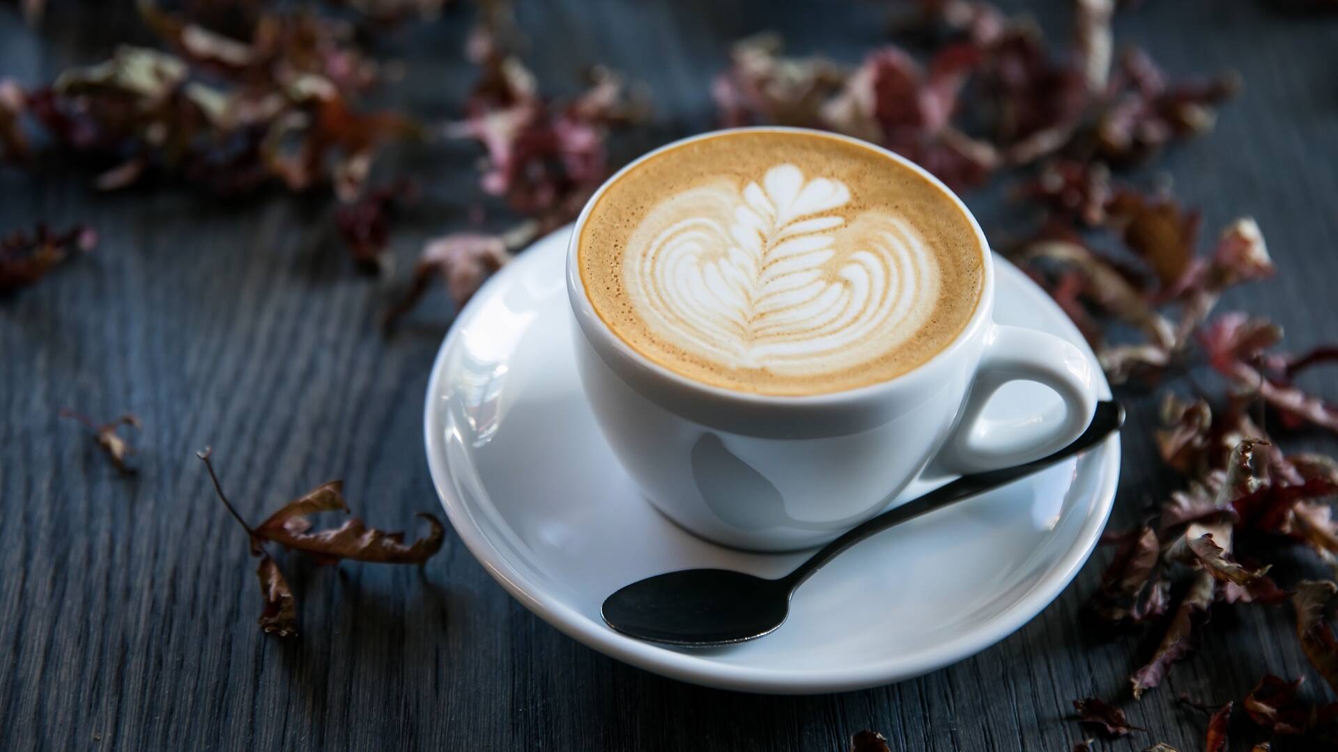 Edition Coffee Roasters | Haymarket, Sydney | Review