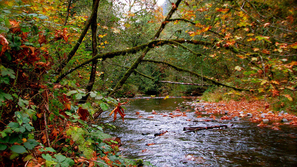 Things to do in Victoria | 11 Sights and Attractions to See