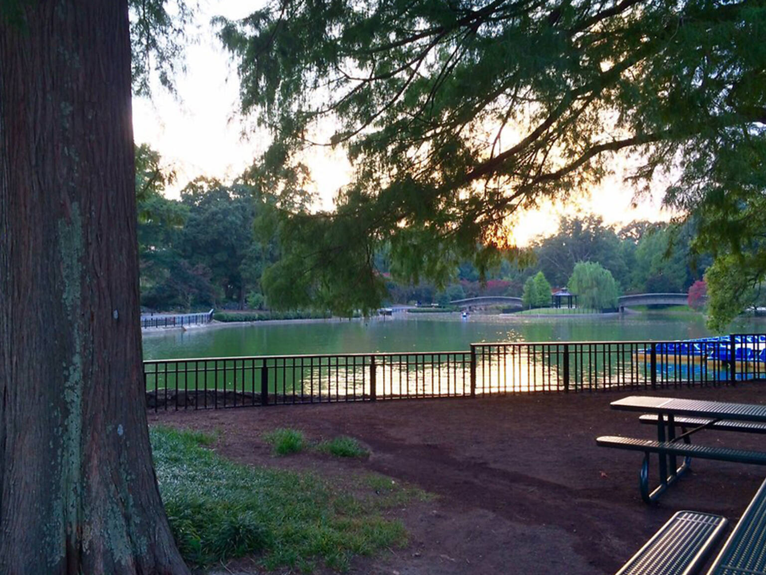 Things to do in Raleigh | 14 Must-See Sights and Attractions