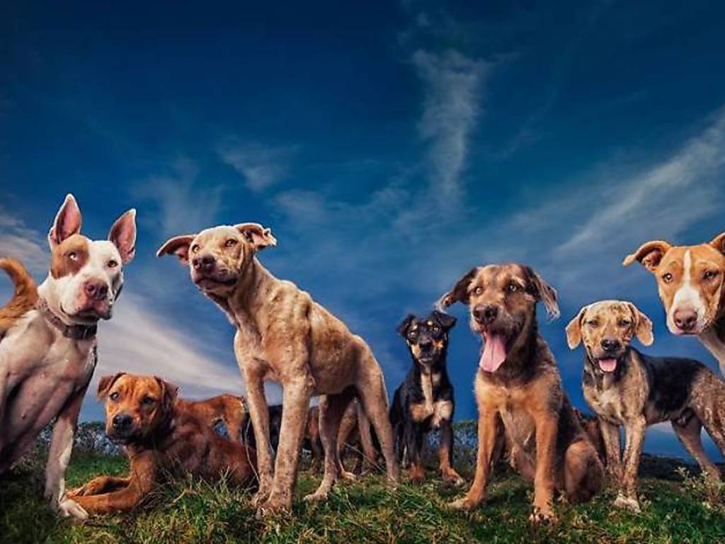 Things to Do in Costa Rica | 14 Essential Attractions and Activities