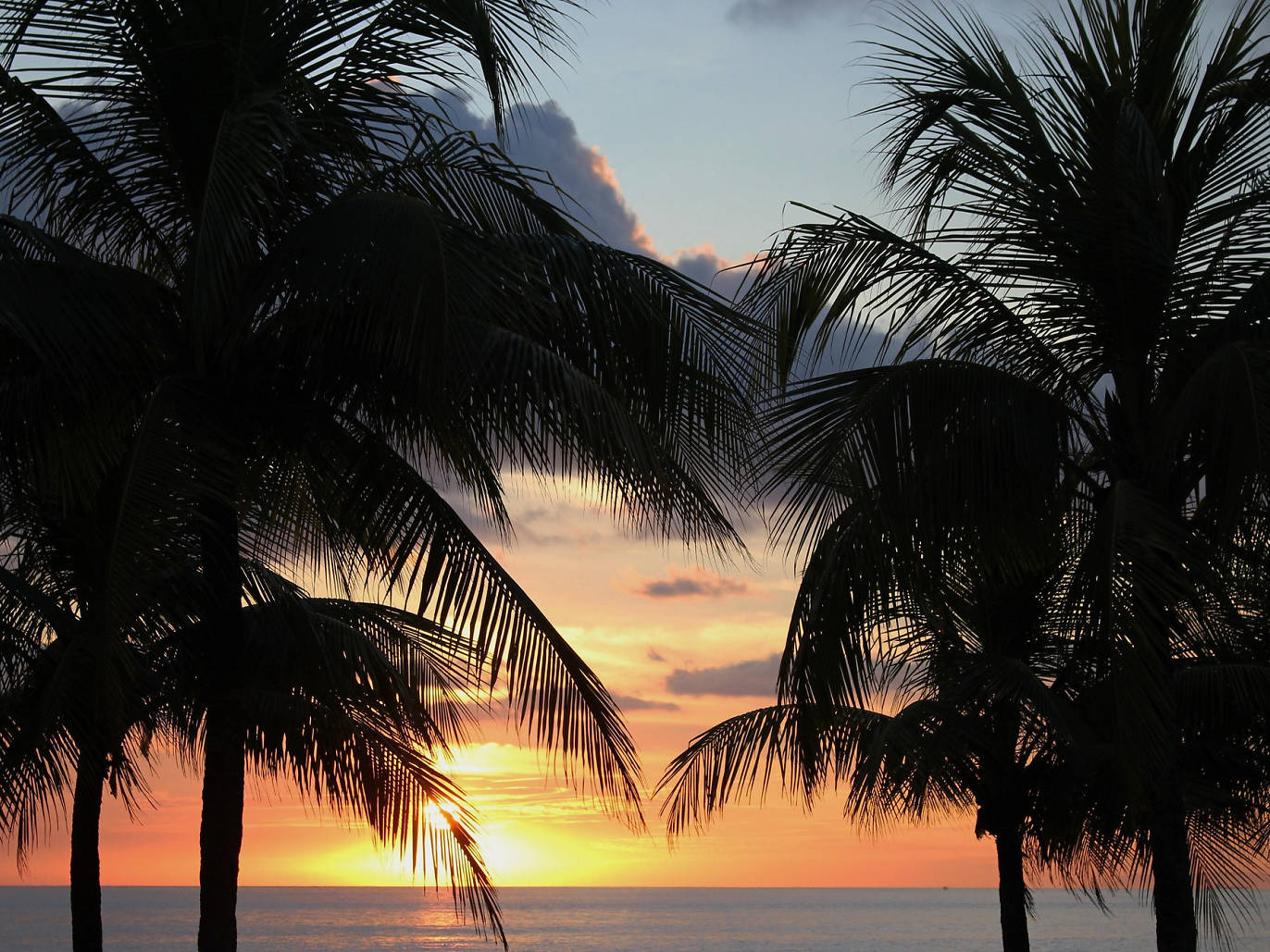 Things to Do in Costa Rica | 14 Essential Attractions and Activities